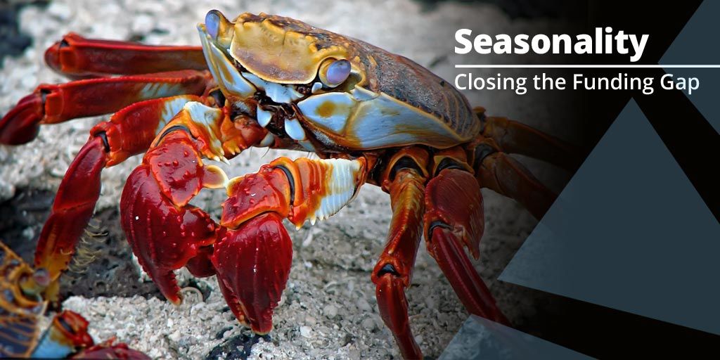 Make the Most of Your Restaurant’s Seasonality - ARF Financial