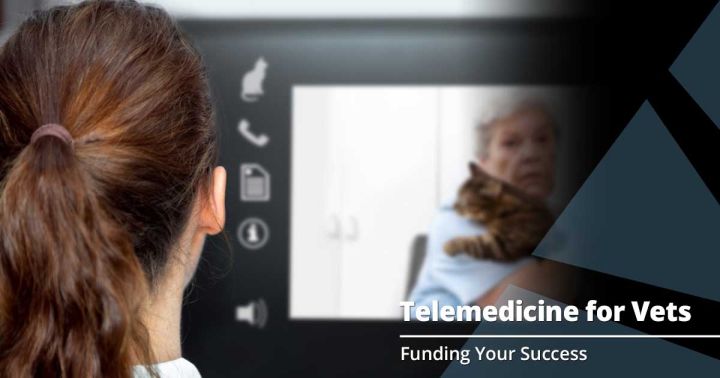 How to Introduce Telemedicine to Your Veterinary Practice - ARF Financial